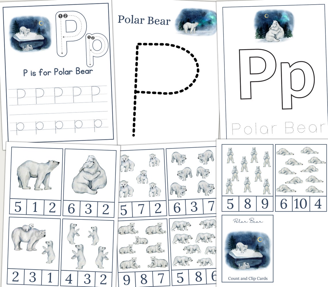 Polar Bear Unit Study: Life Cycle, Anatomy, Homeschool Printable ...