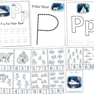 POLAR Bear Unit Study, Life Cycle, Anatomy, Nature Study, Science ...