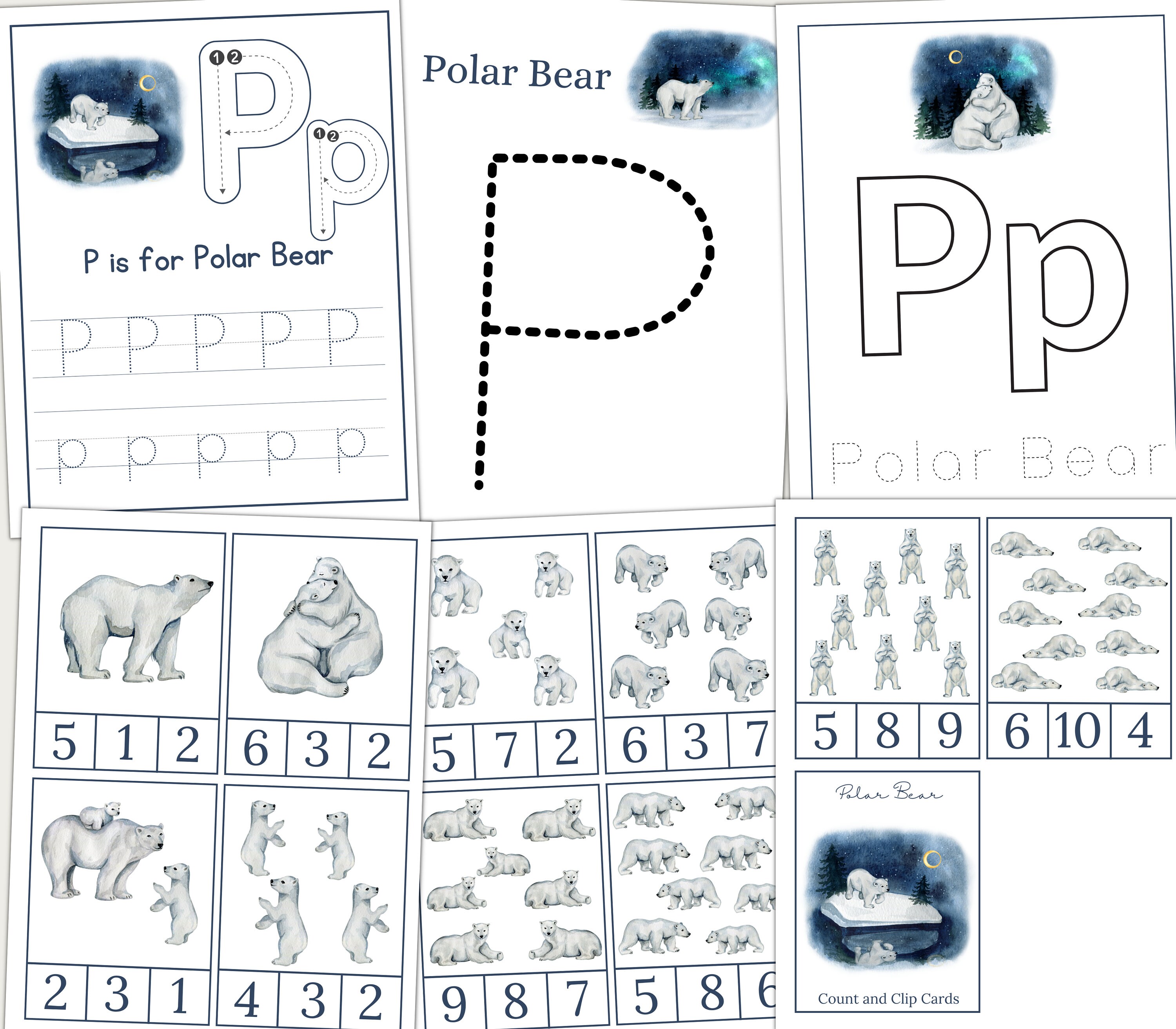 Polar Bear Unit Study: Life Cycle, Anatomy, Homeschool Printable ...