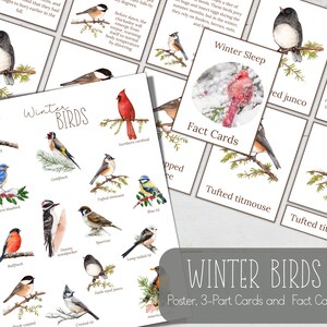 WINTER NATURE BUNDLE, Winter Forest Animals Unit, Winter Birds Unit ...