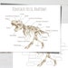 FOSSILS Unit Study, Anatomy, Nature Study, Science, Handwriting ...