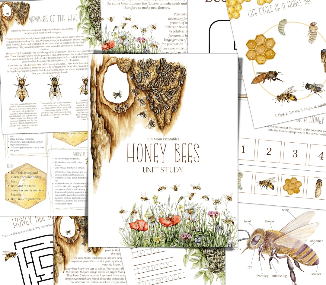 Honey Bees Nature Study Unit: Homeschool Science (INSTANT DOWNLOAD) - Etsy