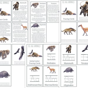 ICE AGE Unit Study, Nature Study, Science, Handwriting, Homeschool ...