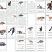 ICE AGE Unit Study, Nature Study, Science, Handwriting, Homeschool ...