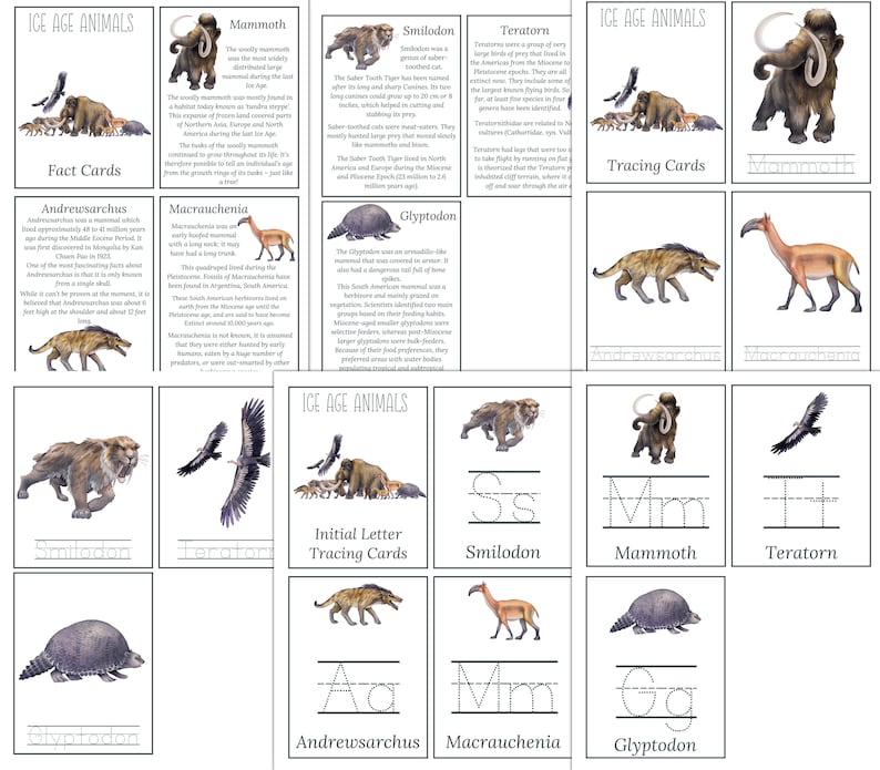 ICE AGE Unit Study, Nature Study, Science, Handwriting, Homeschool ...