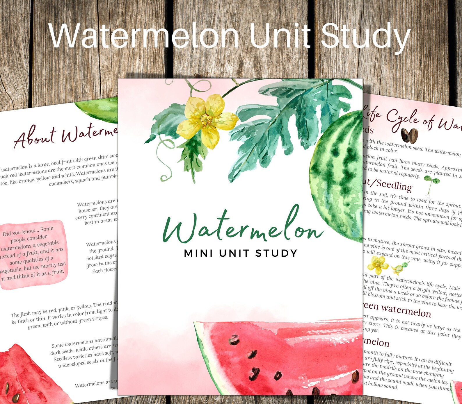 WATERMELON Unit Study Life Cycle Anatomy Nature Study - Etsy