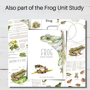 FROG Vs TOAD Venn Diagram Activity, Homeschool, Montessori, Instant ...