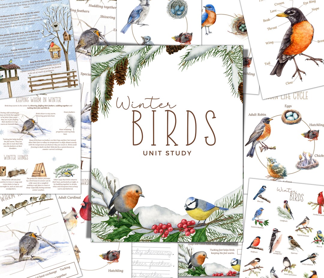 WINTER BIRDS Unit Study, Nature Study, Science, Handwriting, Homeschool ...