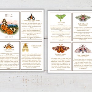 MOTH SPECIES Fact Cards, 3 Part Cards and Mini Poster, Nature, Digital ...