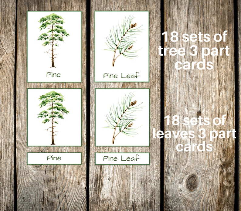 GREEN TREES and LEAVES, Mini Posters + Cards + Puzzles, Nature Study, 3 ...
