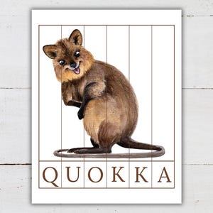 LETTER of the WEEK, Q is for Quokka, Letter Q Activities, Alphabet ...