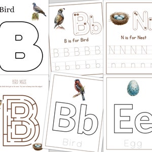 BIRD Unit Study, Life Cycle, Anatomy, Nature Study, Science ...