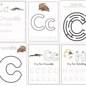 CROCODILE Unit Study, Life Cycle, Anatomy, Nature Study, Science ...