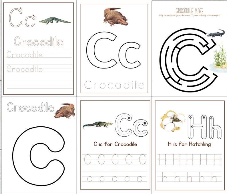 Crocodile Unit Study: Homeschool Science Printable (instant Download ...
