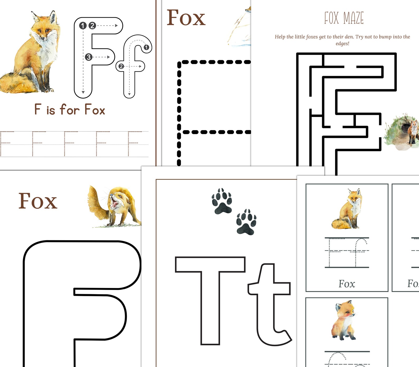 RED FOX Unit Study Life Cycle Anatomy Nature Study - Etsy