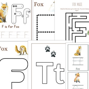 RED FOX Unit Study Life Cycle Anatomy Nature Study - Etsy