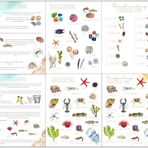 OCEAN UNITS BUNDLE, Whales, Coral Reef, Sea Turtles, Beach, Homeschool ...