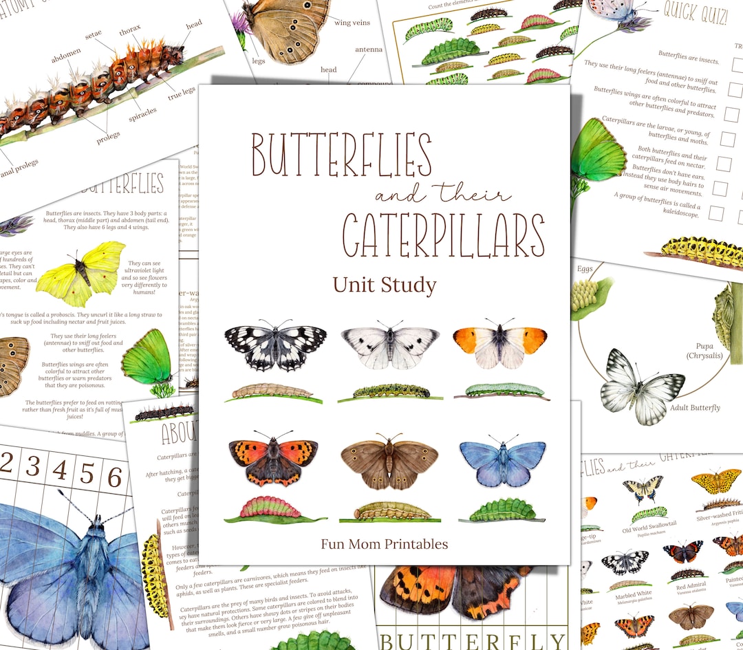 Butterflies and Their Caterpillars Unit Study, Life Cycle, Anatomy ...