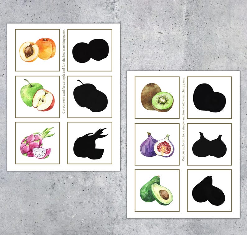FRUIT Shadow Matching Cards. Toddler Montessori Printable. Instant ...