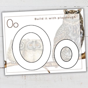 LETTER of the WEEK, O is for Owl, Letter O Activities, Alphabet ...