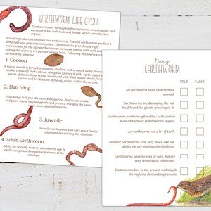 EARTHWORM Study Unit, Life Cycle, Anatomy, Nature Study, Science ...