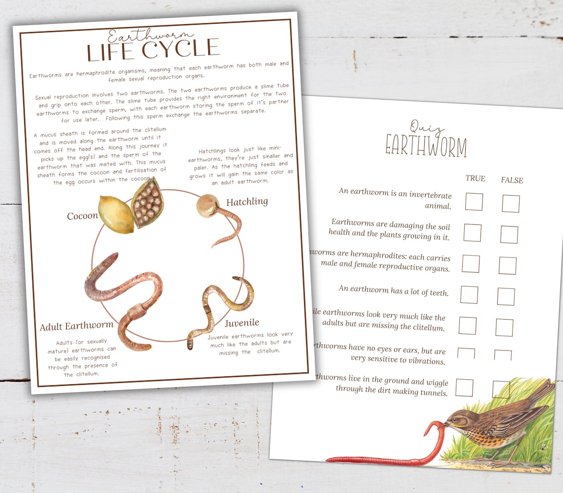 EARTHWORM Study Unit, Life Cycle, Anatomy, Nature Study, Science ...