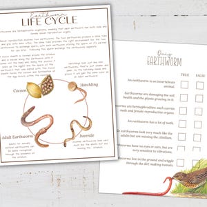 EARTHWORM Study Unit, Life Cycle, Anatomy, Nature Study, Science ...