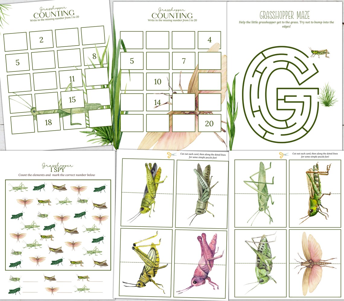 Grasshopper Unit Study: Life Cycle, Anatomy, Homeschool Printable ...