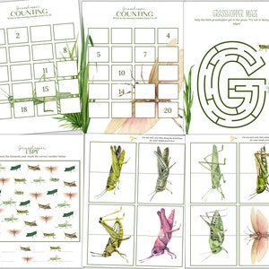 GRASSHOPPER Unit Study, Life Cycle, Anatomy, Nature Study, Science ...