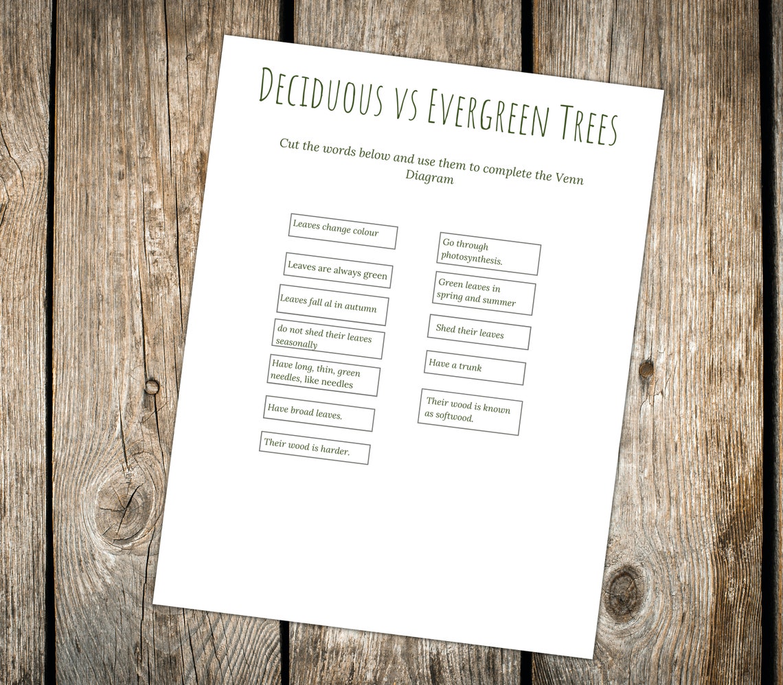 DECIDUOUS Vs EVERGREEN Trees Venn Diagram Activity - Etsy