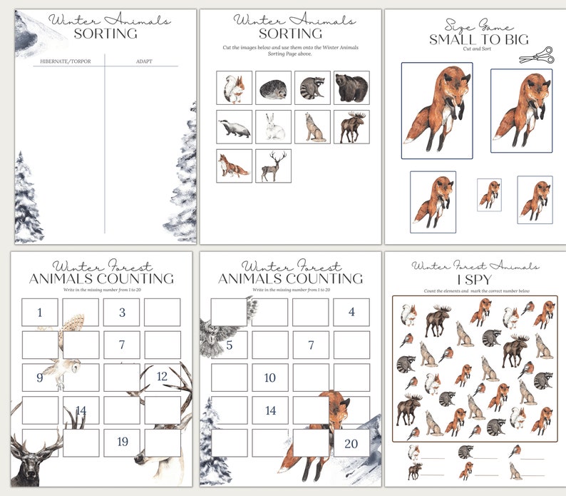 WINTER FOREST ANIMALS Unit Study Anatomy Nature Study - Etsy