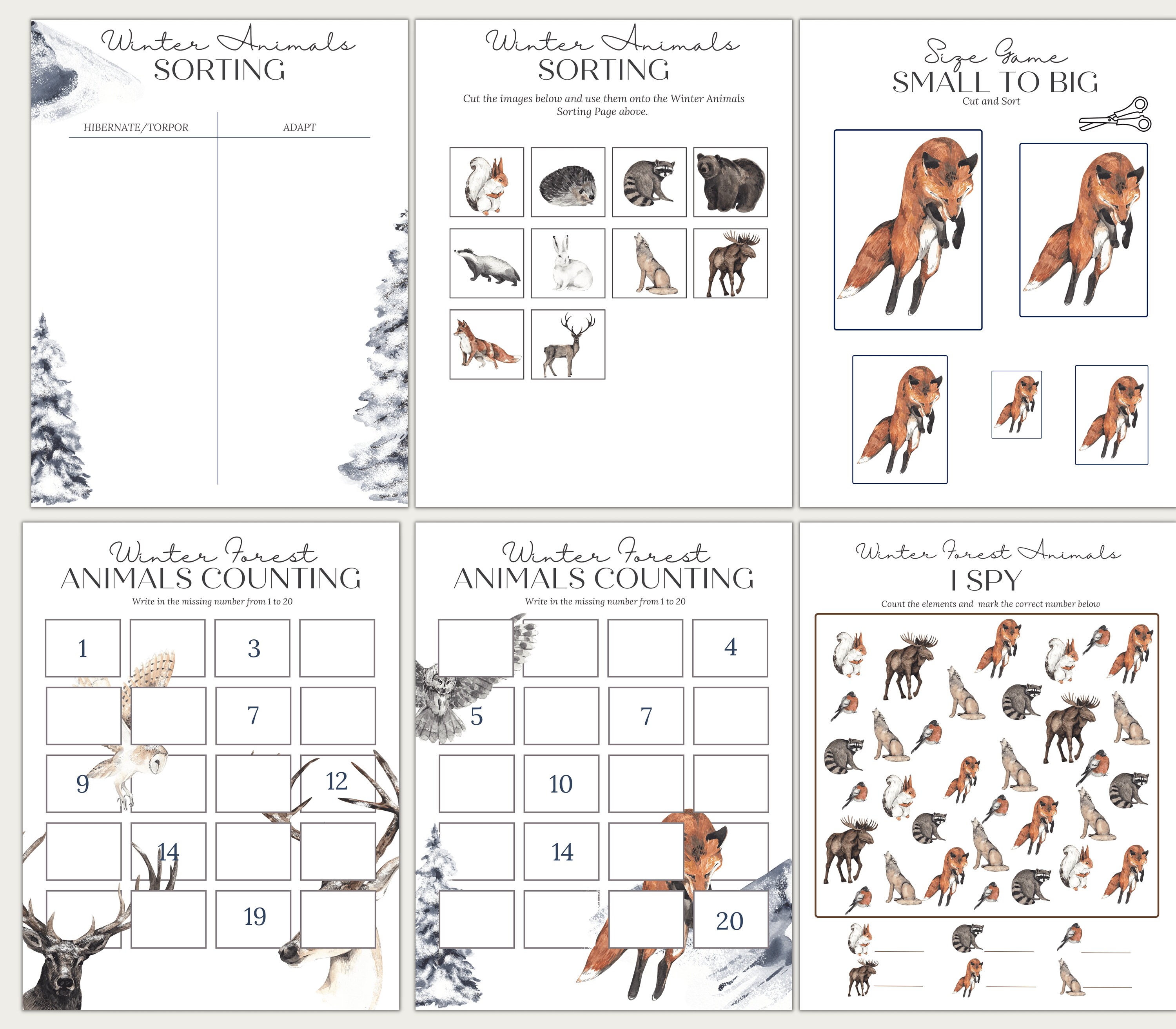 WINTER FOREST ANIMALS Unit Study Anatomy Nature Study - Etsy UK