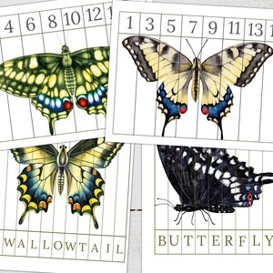 Swallowtail BUTTERFLY Unit Study, Life Cycle, Anatomy, Nature Study ...