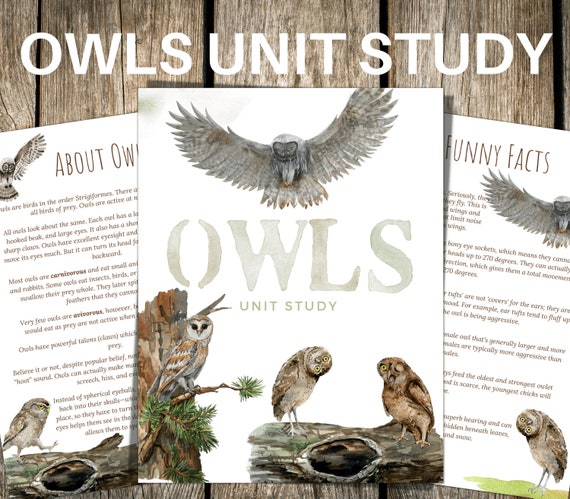 OWLS Unit Study Life Cycle Anatomy Nature Study Science - Etsy