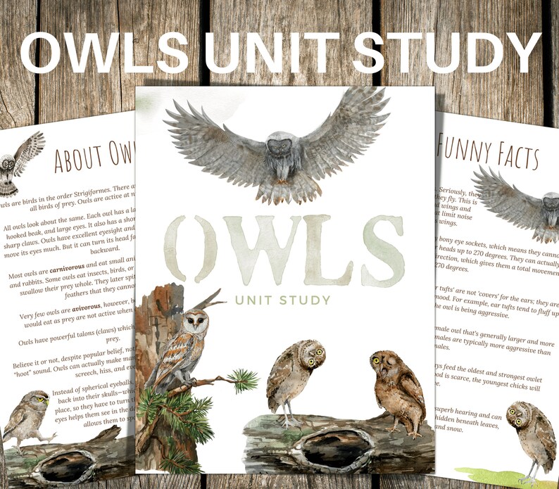 OWLS Unit Study Life Cycle Anatomy Nature Study Science - Etsy