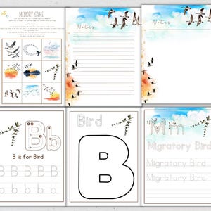 Migratory Birds Unit Study: Homeschool Printable (instant Download) - Etsy