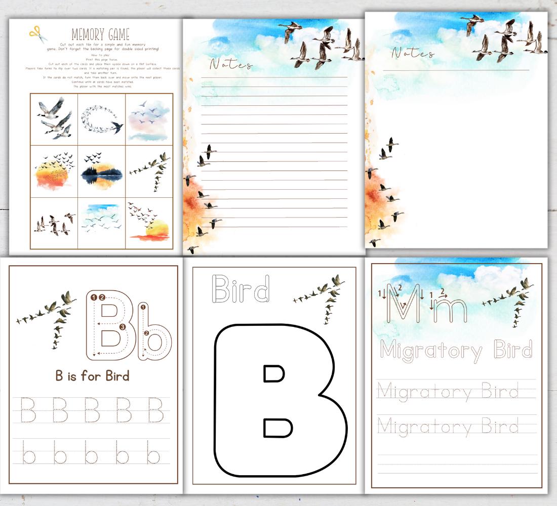 Migratory Birds Unit Study: Homeschool Printable (instant Download) - Etsy