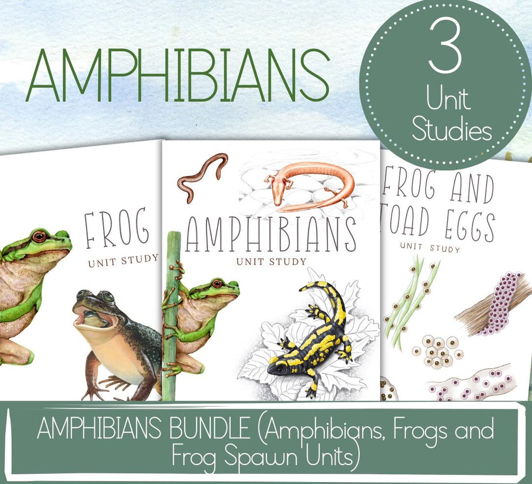 AMPHIBIANS BUNDLE, Frogs Unit, Amphibians Unit, Frog and Toad Eggs Unit ...