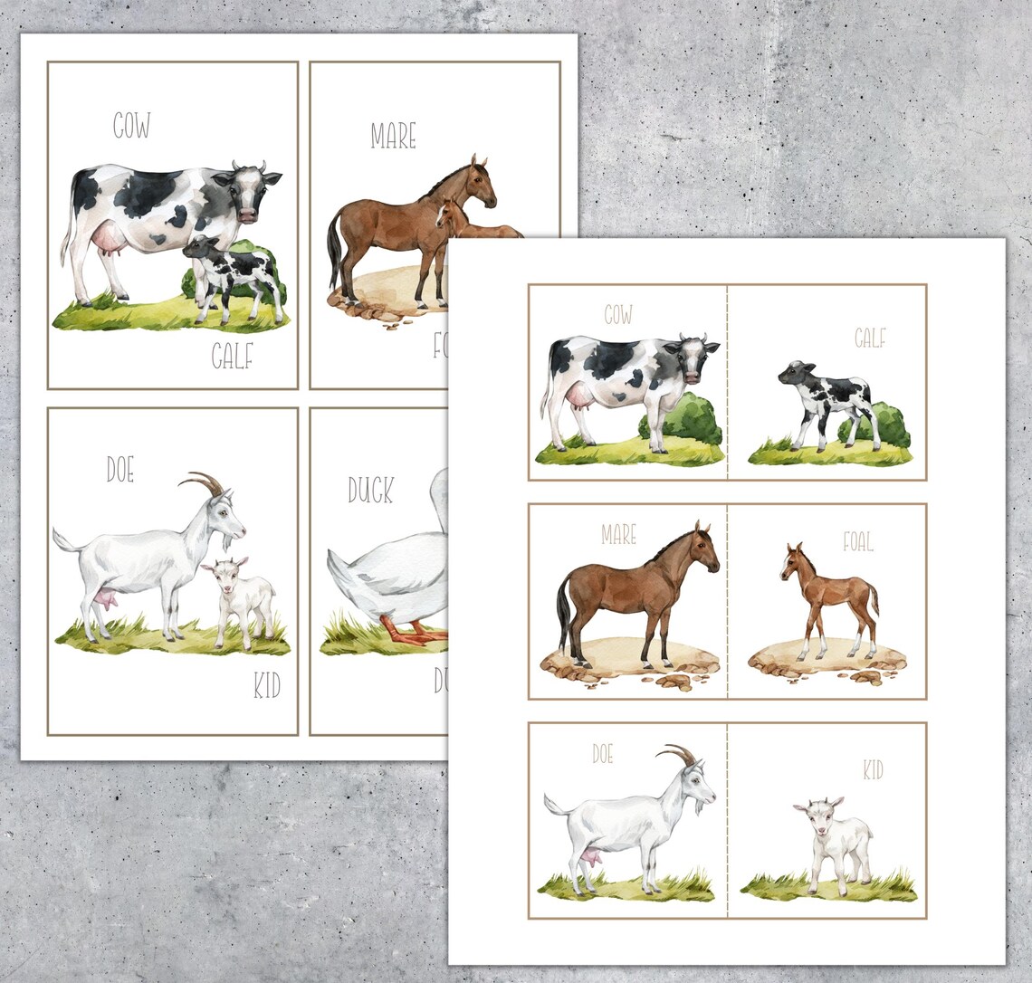 Farm Animal Moms & Babies Flashcards: Montessori Activity (instant ...