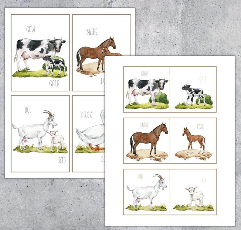 Farm Animal Moms & Babies Flashcards: Montessori Activity (instant ...