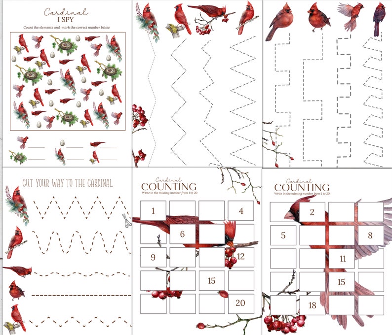 Northern Cardinal Unit Study: Homeschool Science Printable (instant ...