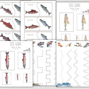 Salmon Life Cycle Unit Study: Homeschool Science Printable (INSTANT ...