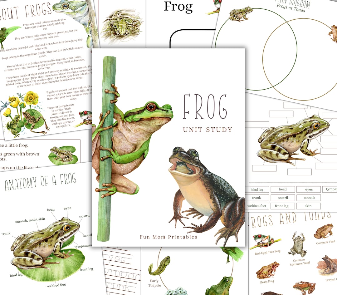 FROG Unit Study, Life Cycle, Anatomy, Nature Study, Science ...
