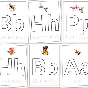 POLLINATORS Unit Study, Nature Study, Science, Handwriting, Homeschool ...