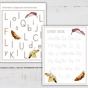 Letter L is for Leaf: Alphabet Learning Printable (instant Download) - Etsy