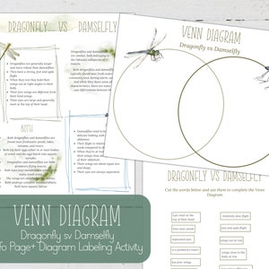 DRAGONFLY Unit Study, Life Cycle, Anatomy, Nature Study, Science ...