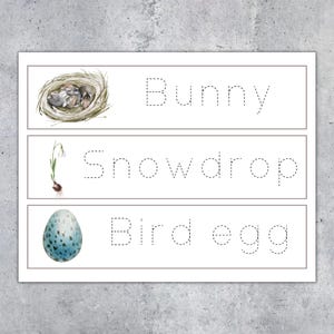 Spring Preschool Printable Word Tracing Strips. Kindergarten ...