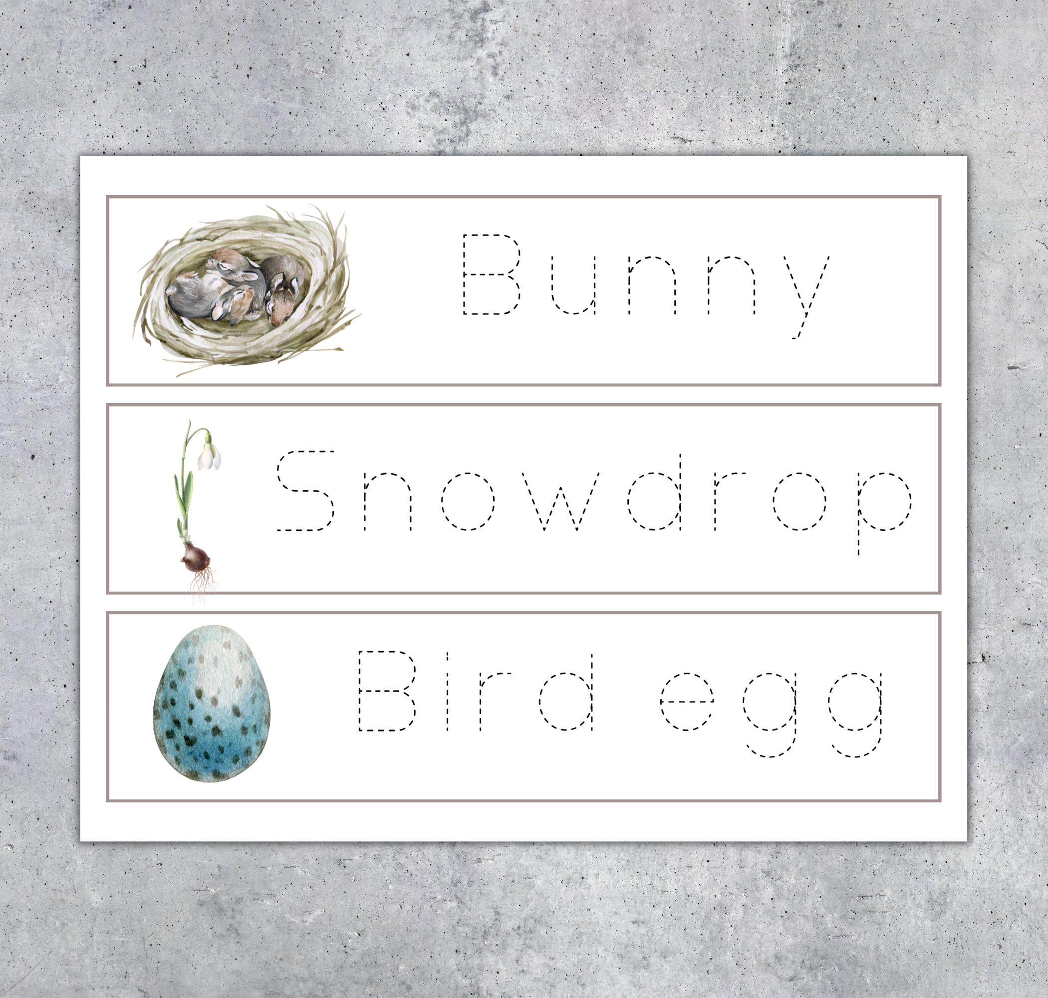 Spring Preschool Printable Word Tracing Strips. Kindergarten ...