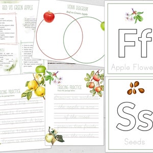 APPLE Unit Study, Life Cycle, Anatomy, Nature Study, Science ...