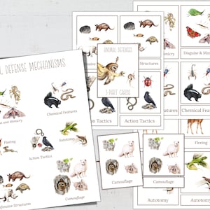 ANIMAL DEFENSES Unit Study, Anatomy, Nature Study, Science, Handwriting ...